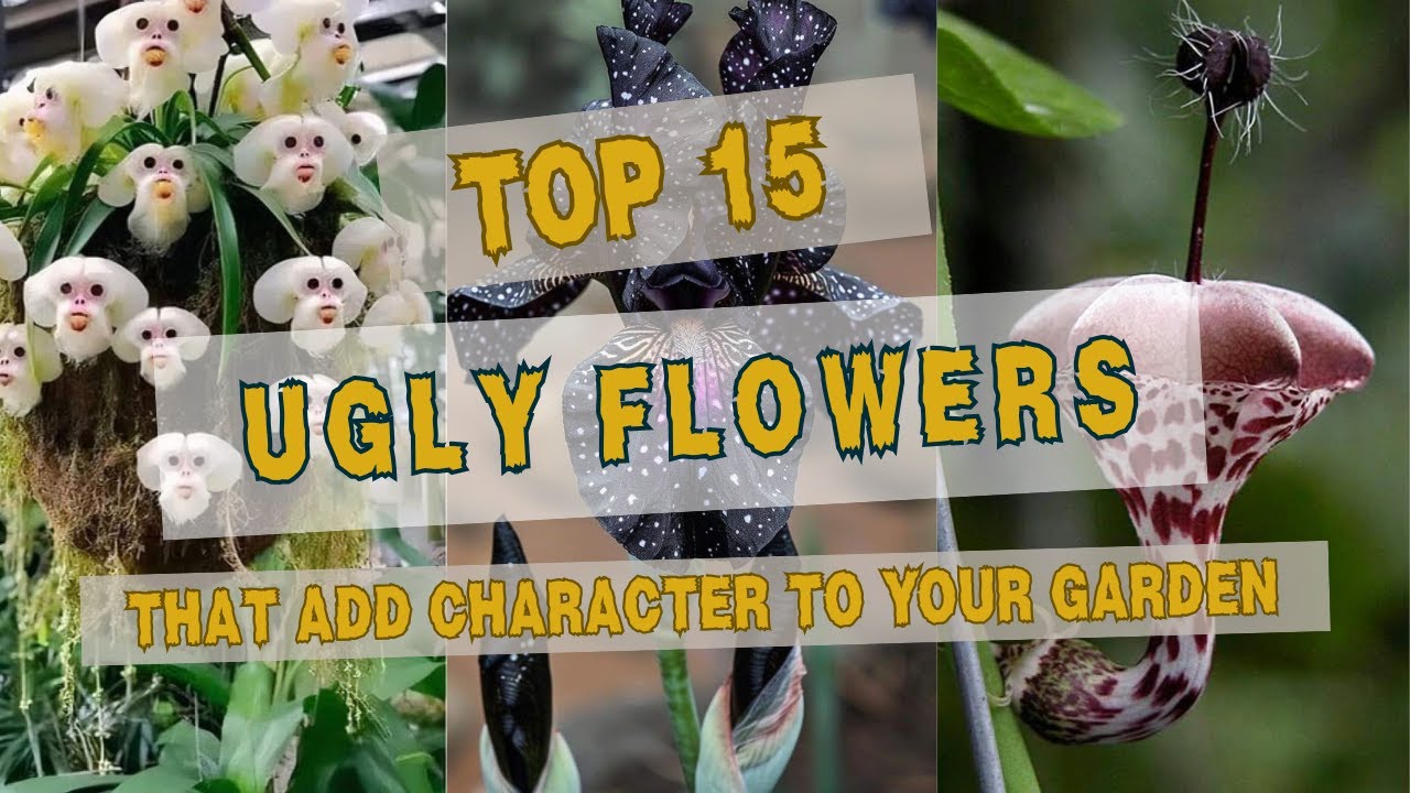 15 Ugly Flowers That Add Character To Your Garden Youtube