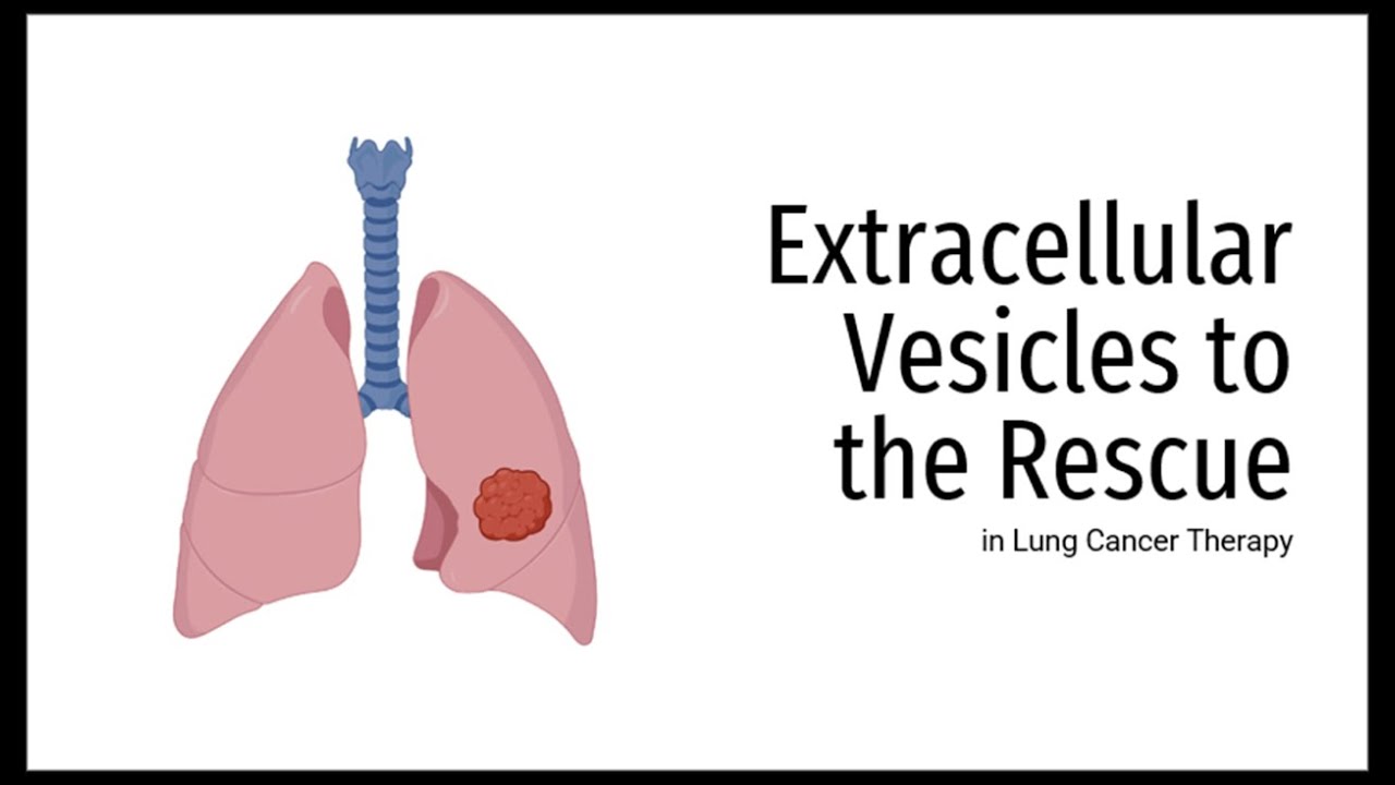 Extracellular Vessicles To The Rescue Youtube