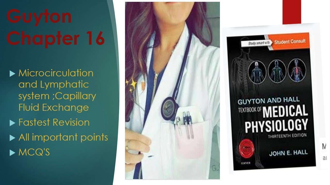 Guyton Chapter 16 Microcirculation And Lymphatic System Capillary