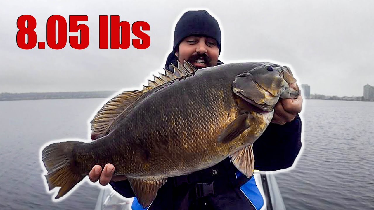 I Finally Caught The 8 Lb Smallmouth On Film Day 26 Youtube
