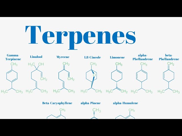 Terpene Structure 91 Terpene Alcohol Royalty Free Images Stock Photos