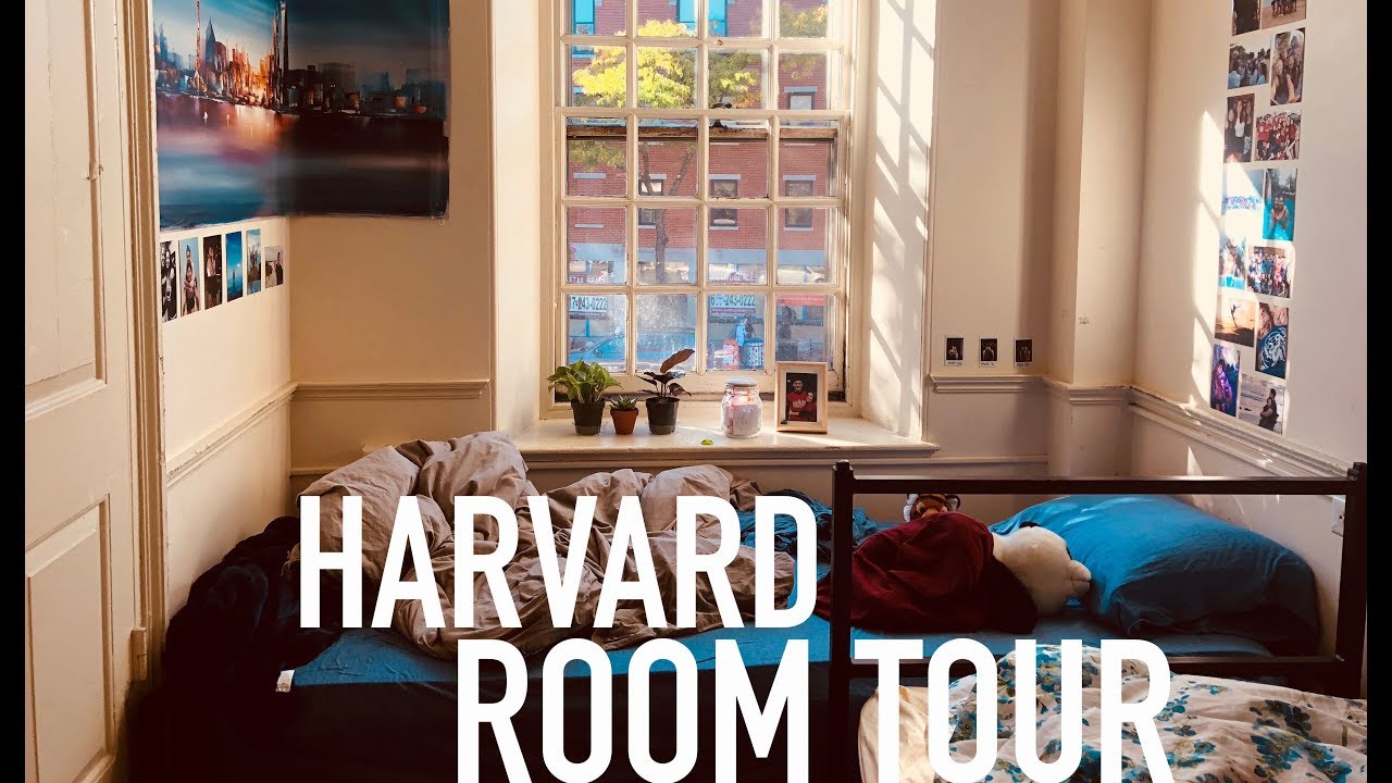 Harvard Dorm Tour At Michael Stover Blog
