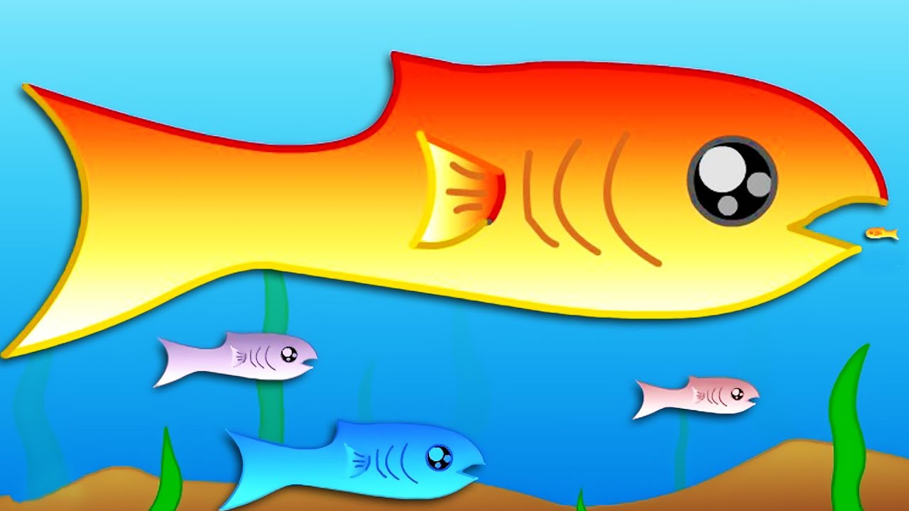 Fishy Youtube