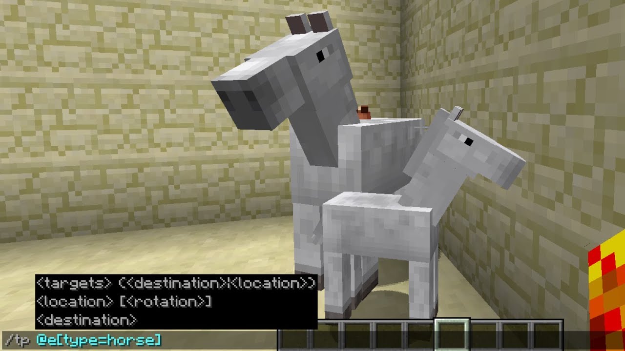 The New Tp Command In Minecraft Youtube