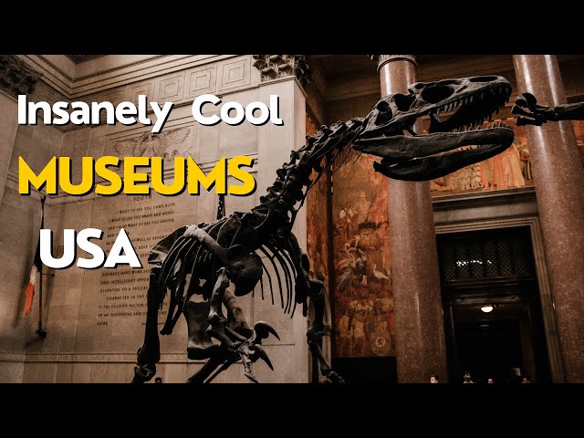 Top 10 Insanely Cool Museums In The English Esl Video Lessons