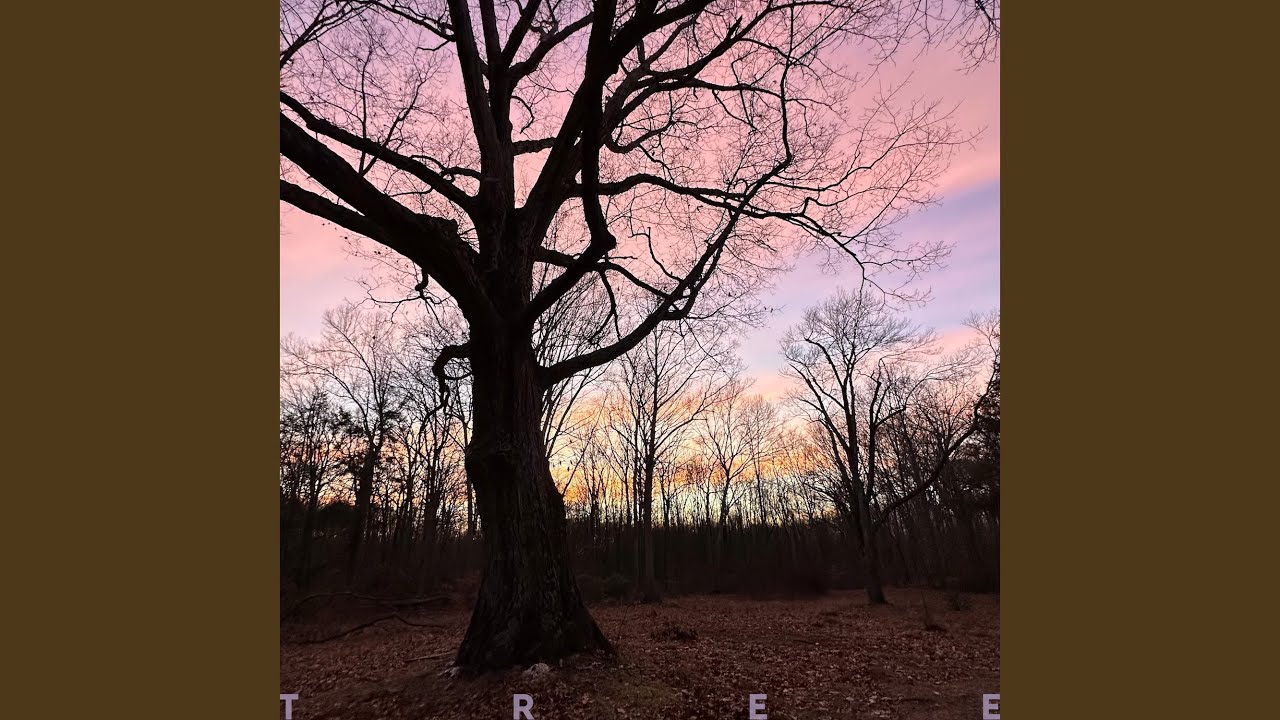 Tree Youtube