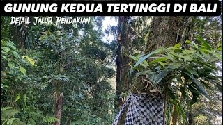 Explore Gunung Batukaru 2 276 Mdpl Bali Exploration Hub Mp3 Music & Mp4 ...