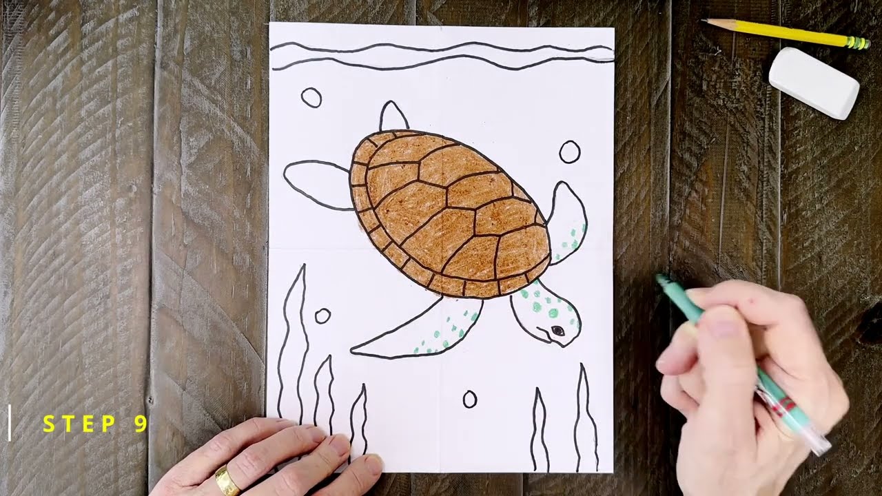 How To Draw A Sea Turtle Youtube