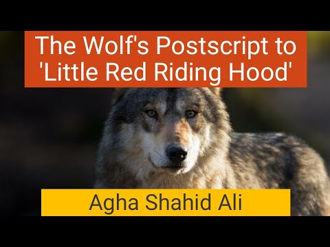 The Wolf S Postscript To Little Red Riding Hood Youtube