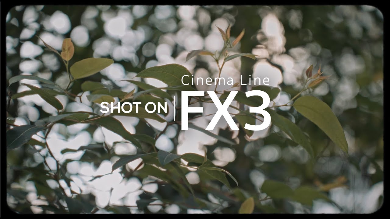 Sony Fx3 Cinema Line Video Test Youtube