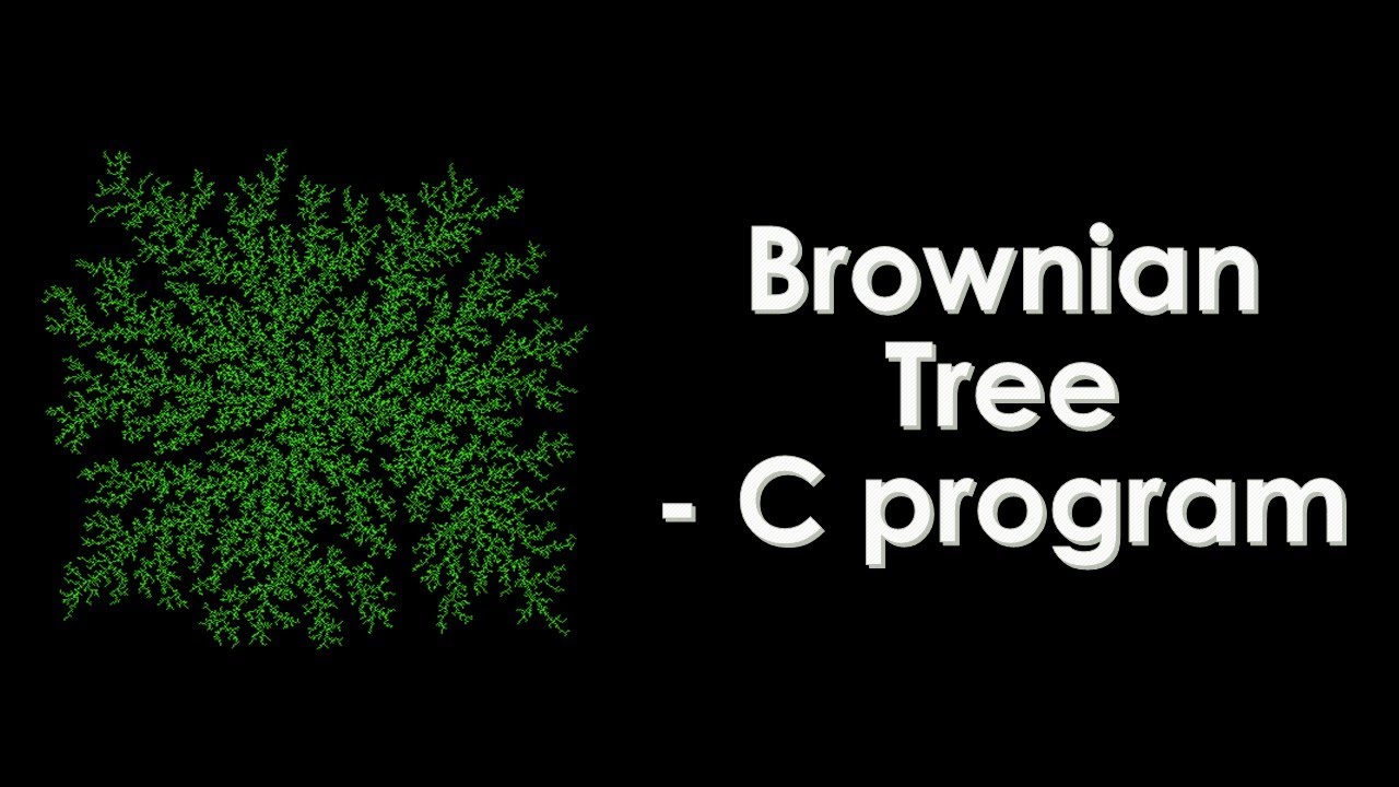 Simulate Brownian Tree Fractals Using C Graphics Youtube