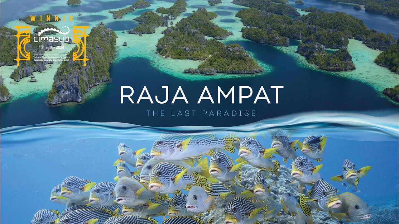 Raja Ampat The Last Paradise Youtube