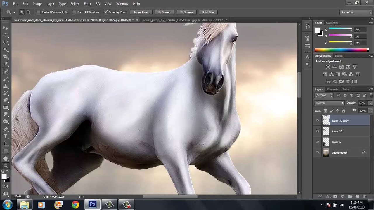 Paint Horse Manipulation 00
