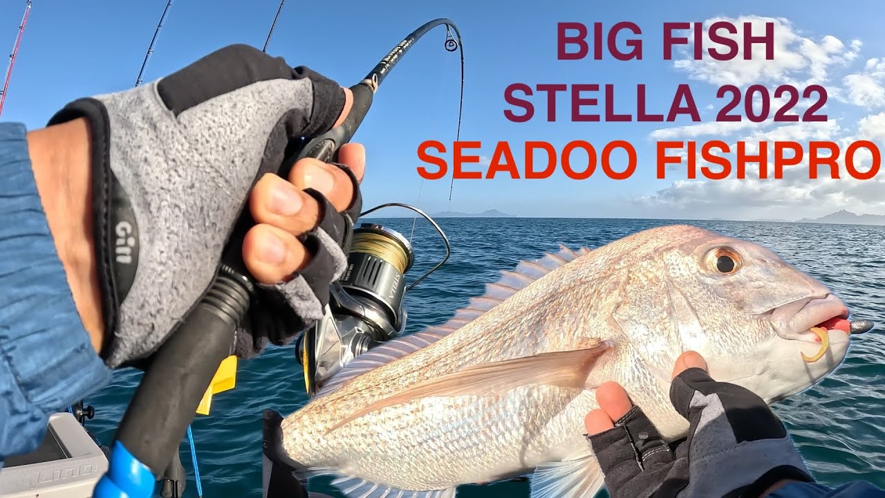 Big Fish 2022 Stella Seadoo Fish Pro Jetski Fishing Softbaiting New