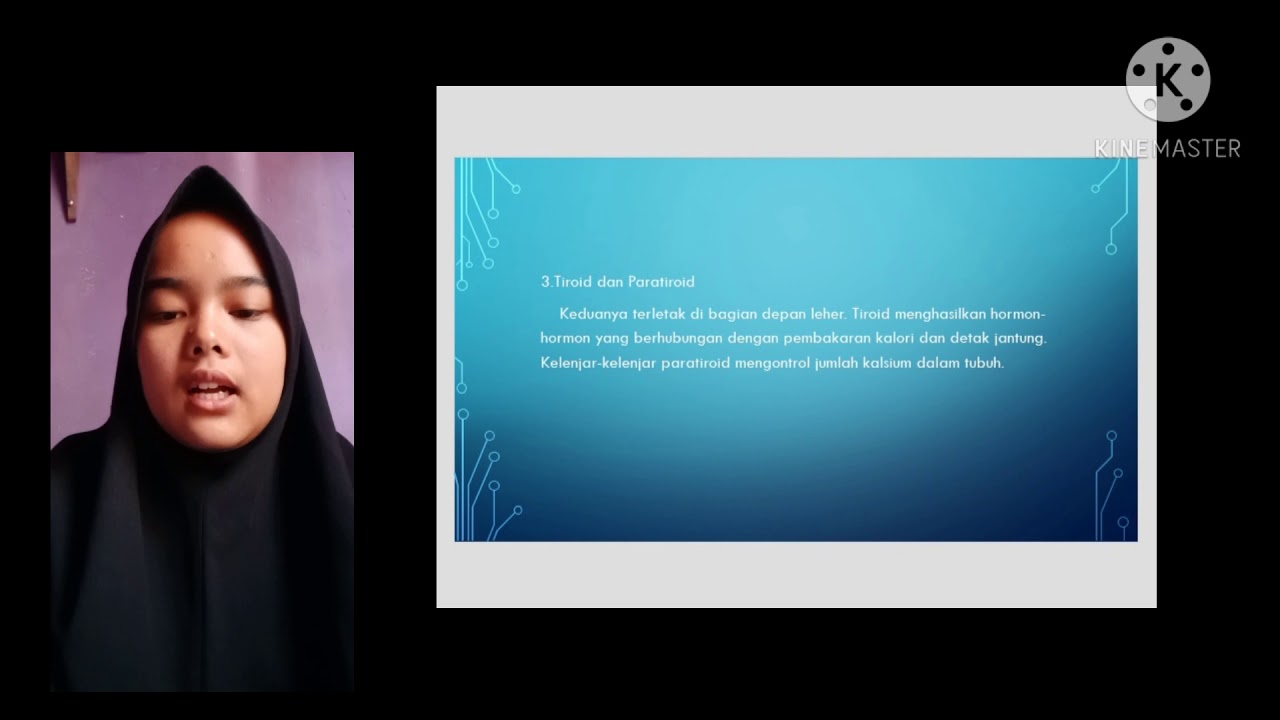 Presentasi Ppt Sistem Endokrin Youtube