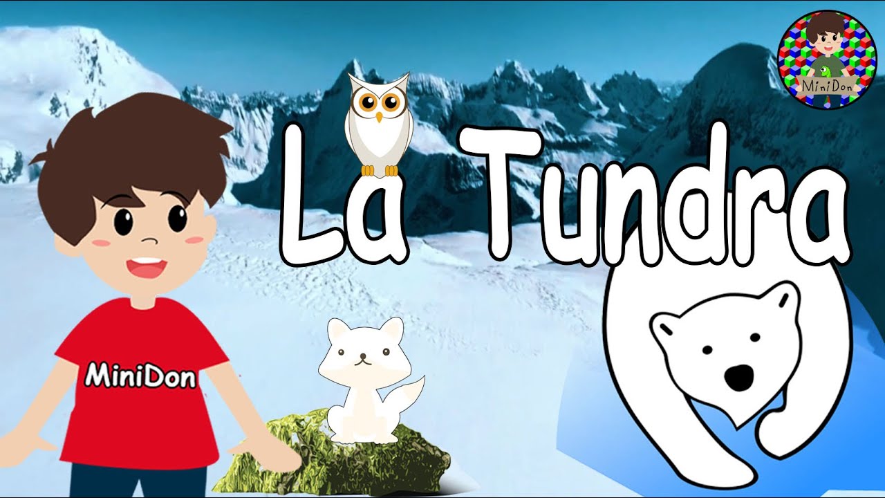 La Tundra Qué Es La Tundra Ecosistemas De La Tierra Video Educativo