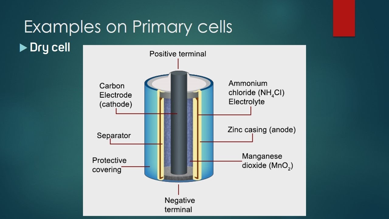 Electrochemical Cell