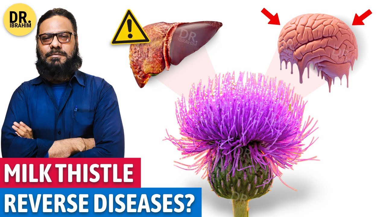 Oont Katara Ka Sahi Istamal Milk Thistle Benefits Uses Dr