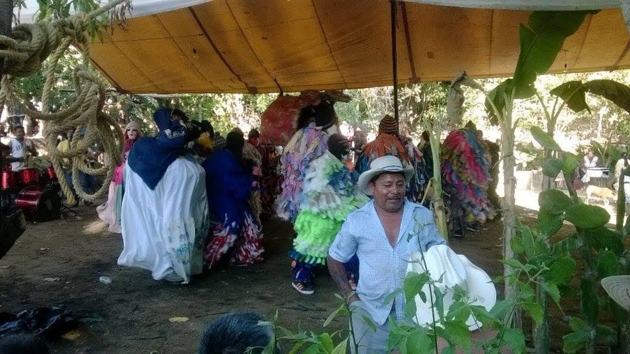 Quinto Carnaval 2017 En Zocoteaca De León Youtube