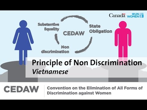 Cedaw Principle Of Non Discrimination Vietnamese Youtube