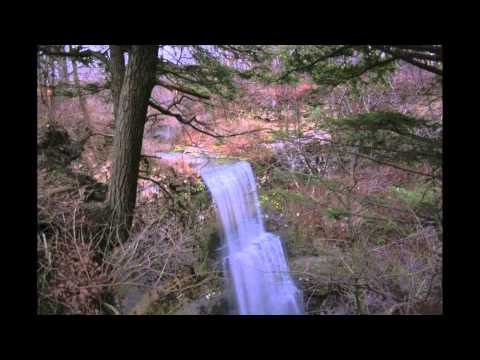 Where S The Concern Week Six Youtube