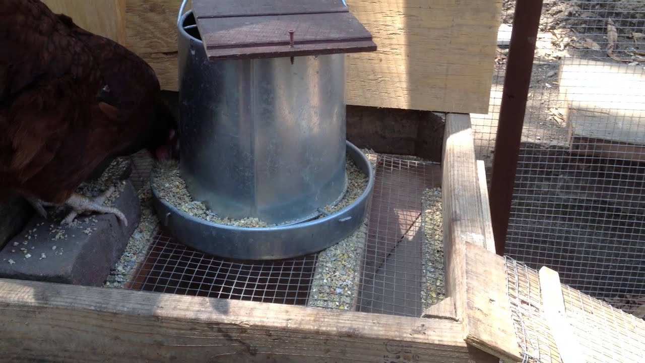 Diy Zero Waste Gravity Chicken Feeder Youtube