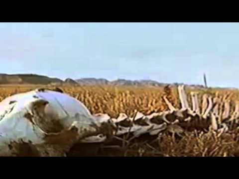 Discovery Dinosaurs Bbc Documentary 2015 Youtube