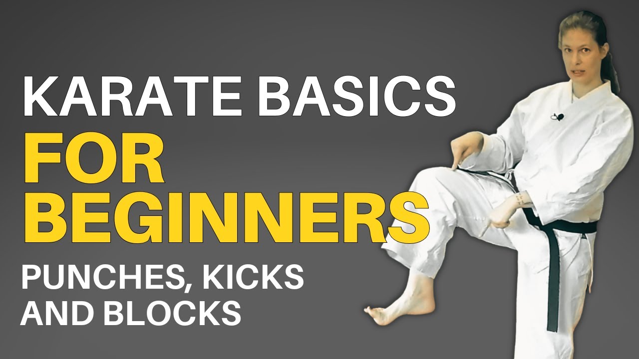 Karate Techniques For Beginners Martial Arts Rochester Mn National