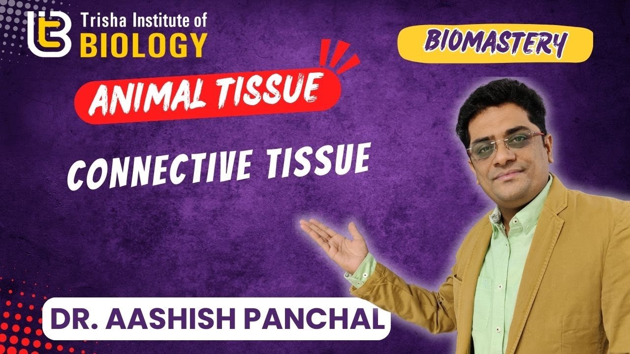 Connective Tissue Youtube