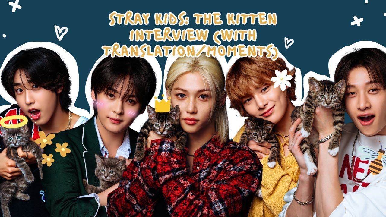 Stray Kids The Kitten Interview Photos Moments Questions And