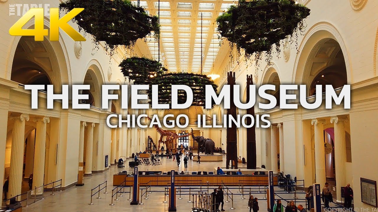 Chicago The Field Museum Of Natural History Downtown Chicago