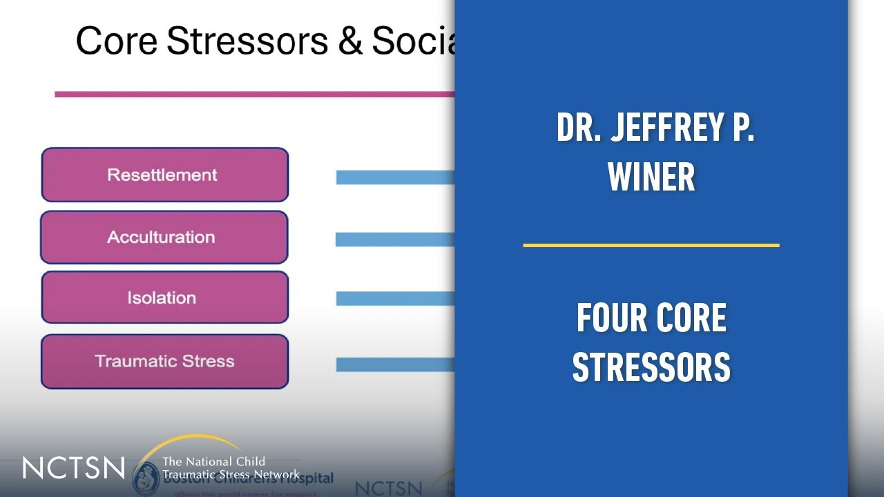 Four Core Stressors Framework Youtube
