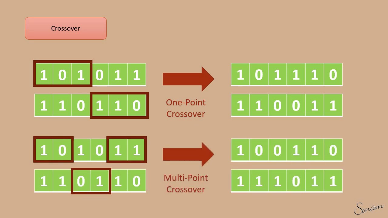 Genetic Algorithm And Its Applications Youtube