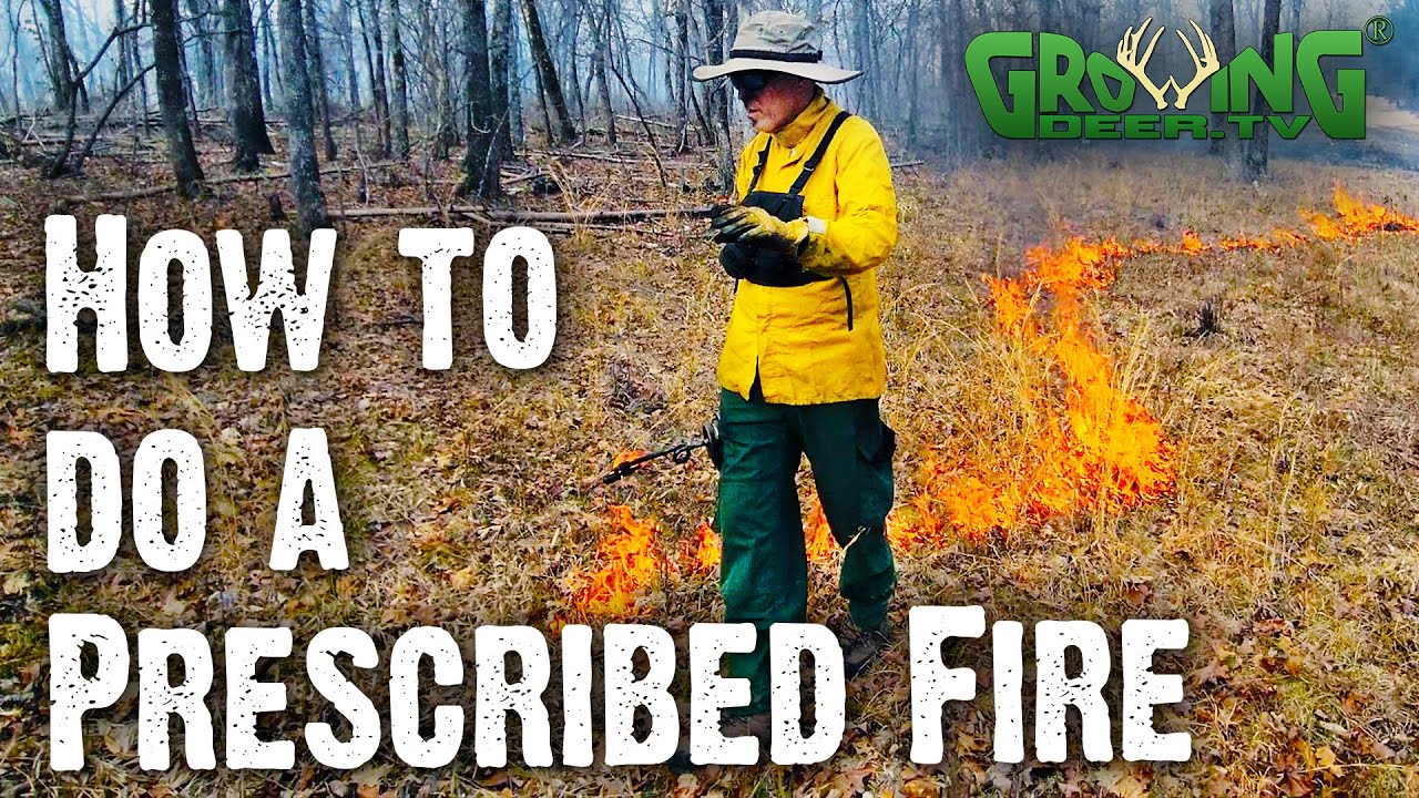 How To Do A Prescribed Fire Techniques Tools And Lessons From The