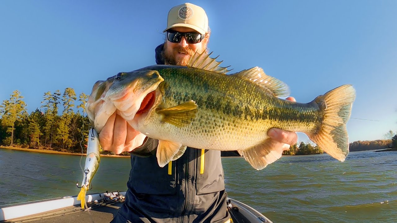Fall Fishing For Bass Is Easy Here S How We Do It Youtube