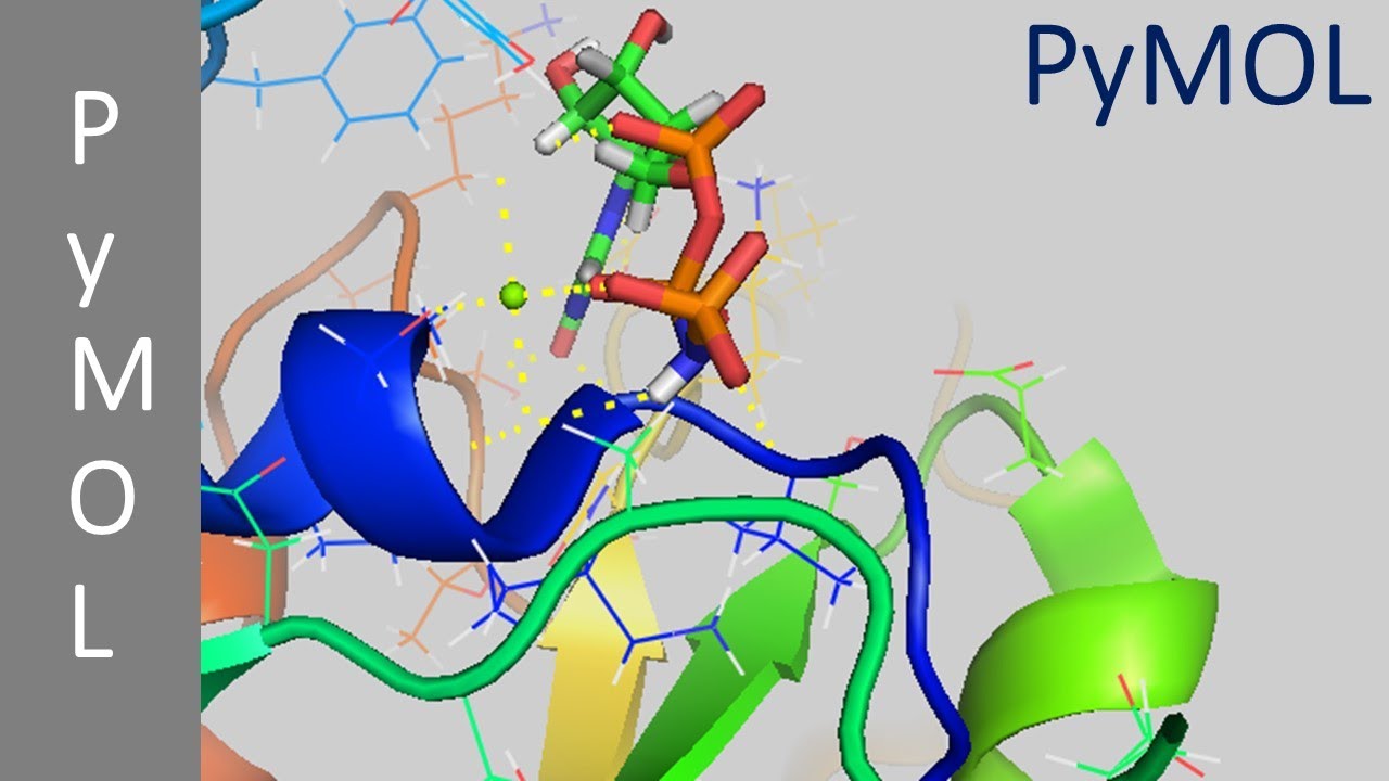 Pymol For Beginners Pymol Introduction To Pymol Molecular
