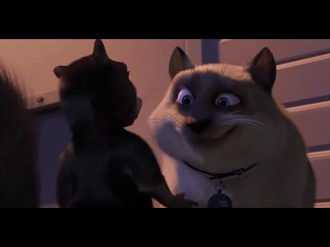Over The Hedge Stella Convinces Tiger That She Is A Cat Youtube