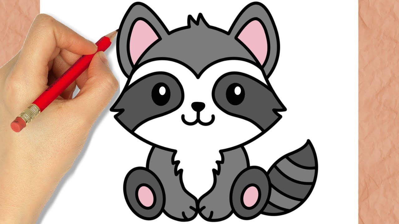 Dibujo De Mapache Lindo Facil Lindo Hembra Mapache Animal