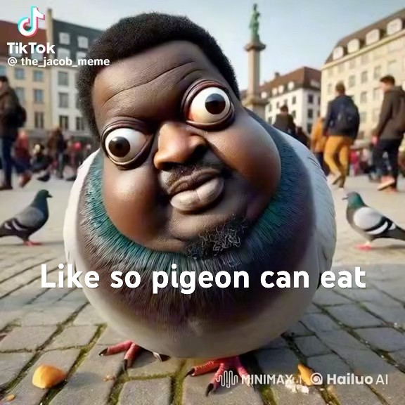 Viral Ai Pigeon Meme Funny Youtube