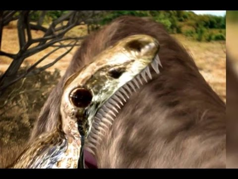 Wild Python Attack Youtube
