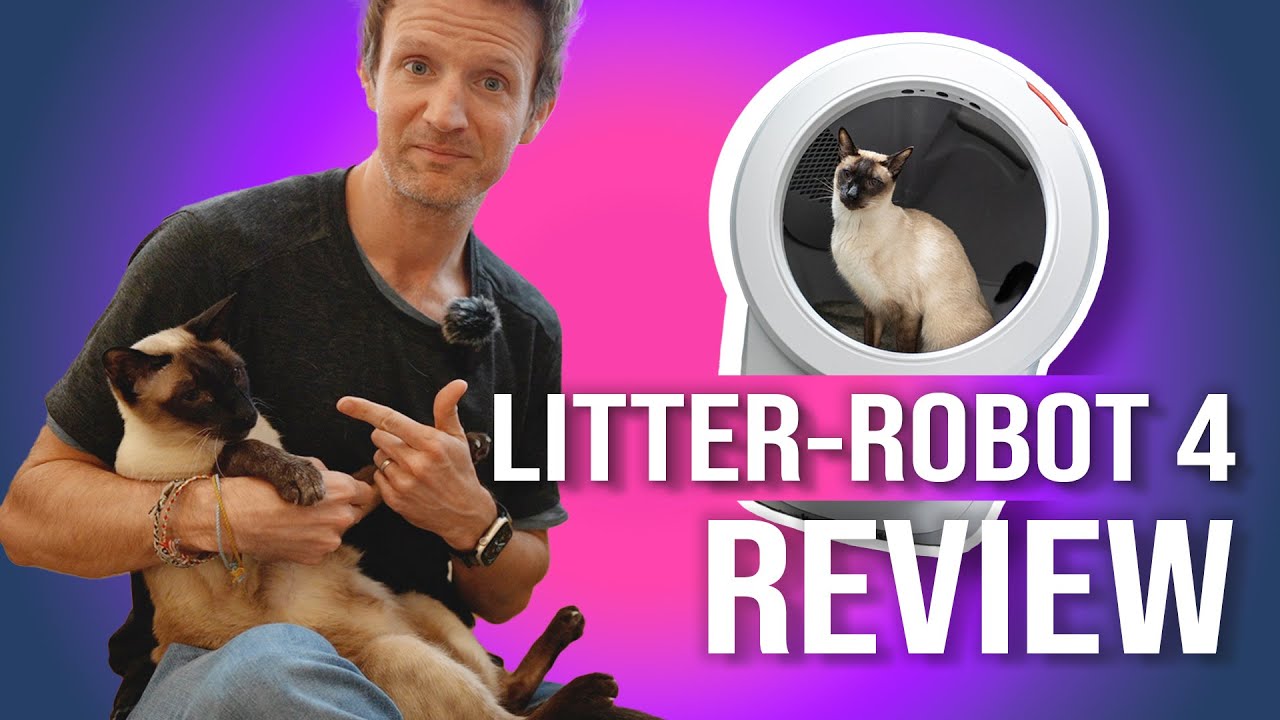 Litter Robot 4 Review This Self Cleaning Litter Box For Cats Is Epic