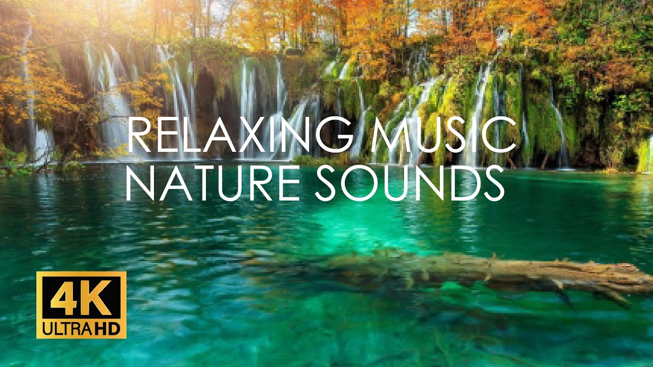 Relaxing Music With Nature Sounds Waterfall Hd Sleep Meditation
