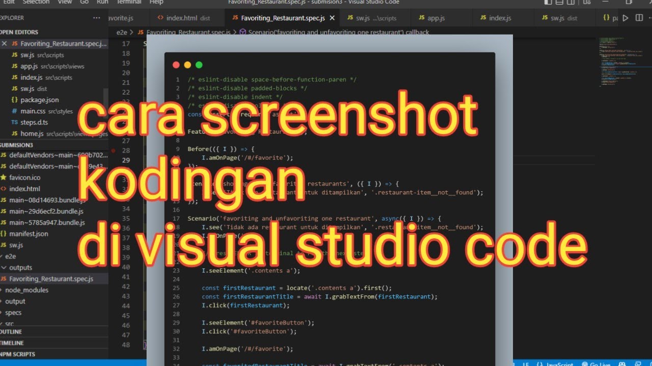 Cara Screenshot Di Visual Studio Code Ss Codingan Youtube