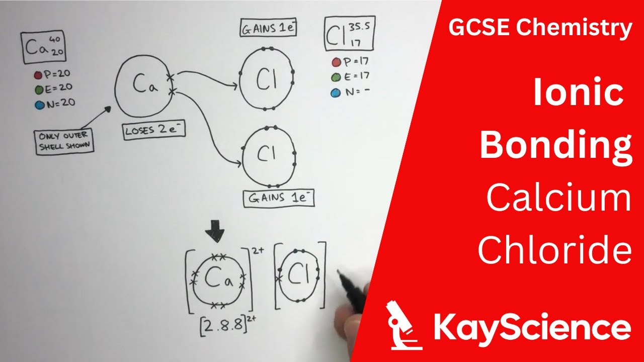 Ionic Bonding Of Magnesium Oxide Explained Gcse Chemistry 41 Off