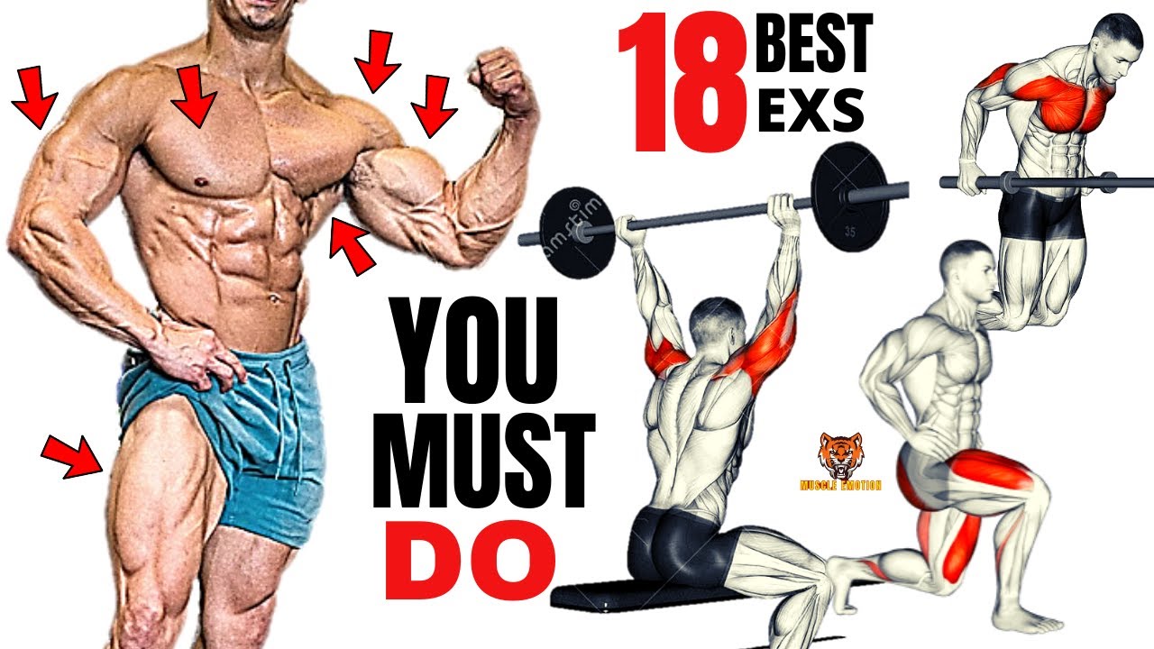 The 18 Most Effective Exercises In Bodybuilding For A Fast Gaining Of
