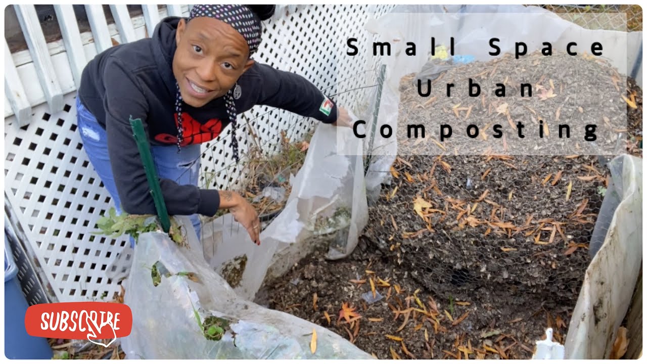 How I Start My Compost Pile Meet Another Family Member Youtube