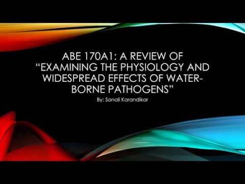 Abe 170a1 Final Research Paper Video Youtube