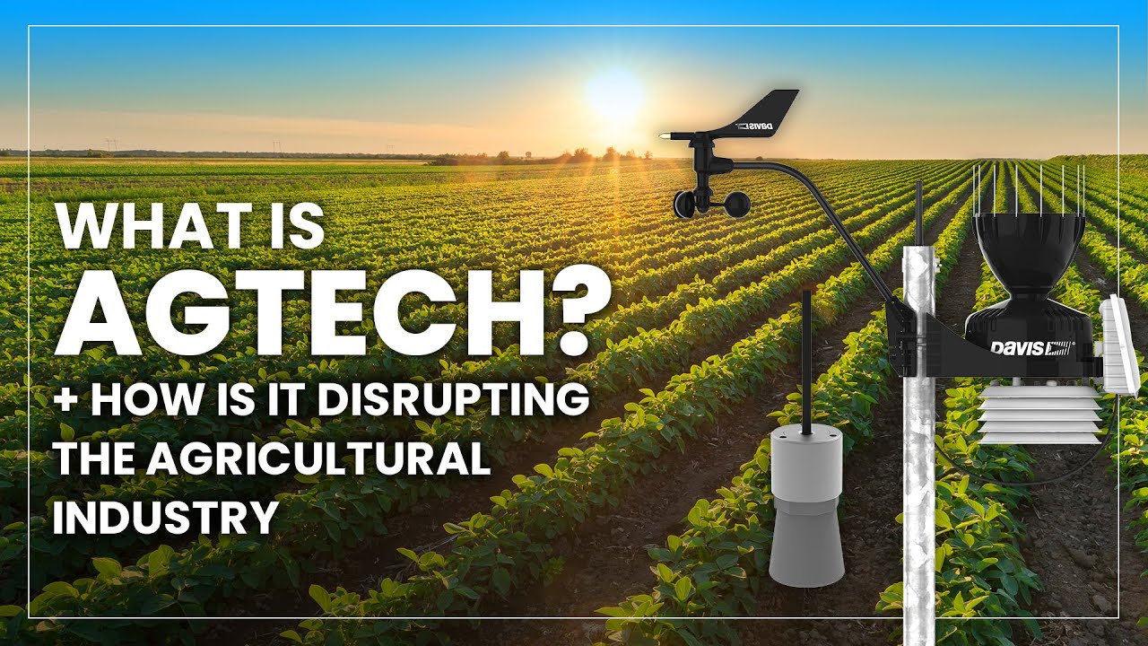 What Is Agtech The Technology That S Disrupting The Agricultural