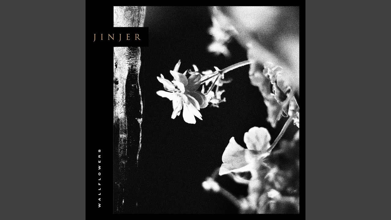 Vortex Youtube Music