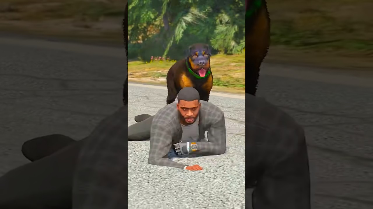 Chop Saved Franklin Shorts Youtubeshorts Viralvideo Gta5 Gta Youtube